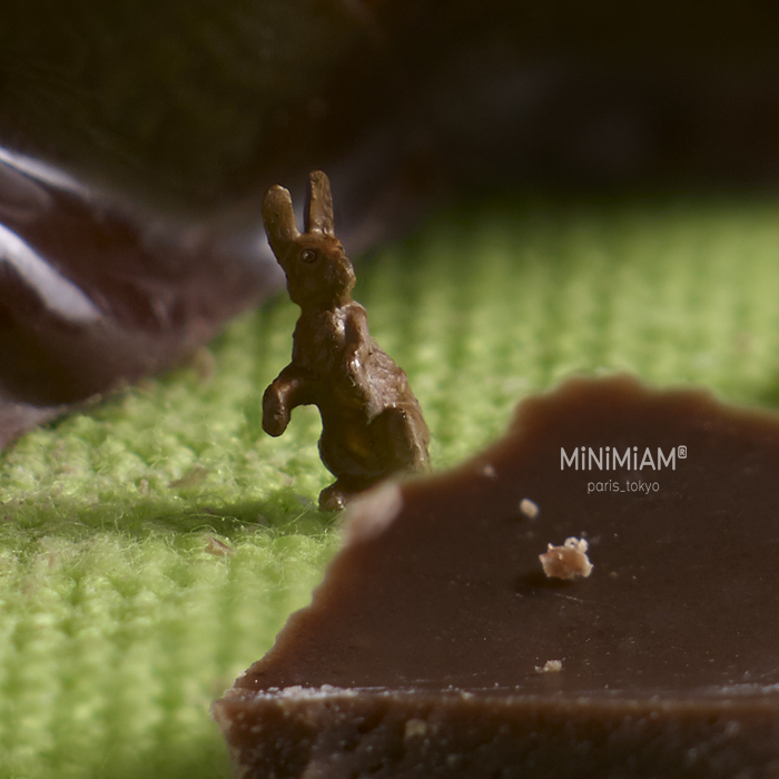 broken-rabbit-1--blog-detail • Minimiam